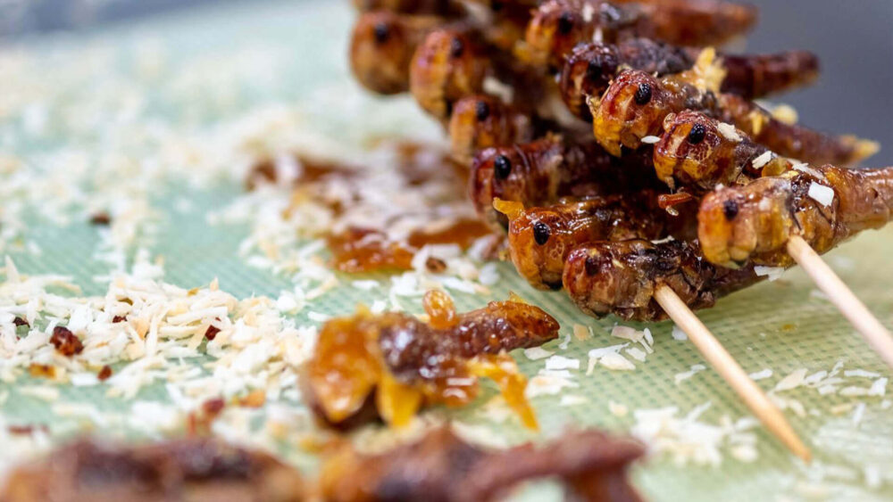 Das Feinschmeckerblog